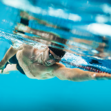 Home | SA Aquatic and Leisure Centre