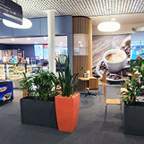 Home | SA Aquatic and Leisure Centre